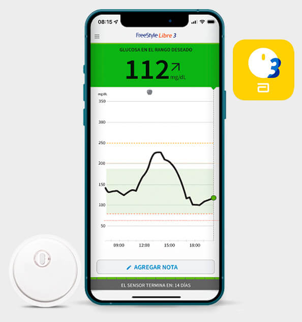 Portfolio | FreeStyle Abbott