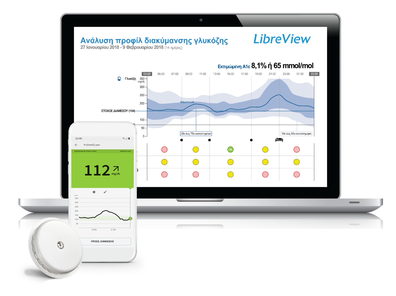LibreView - FreeStyle Libre | Abbott