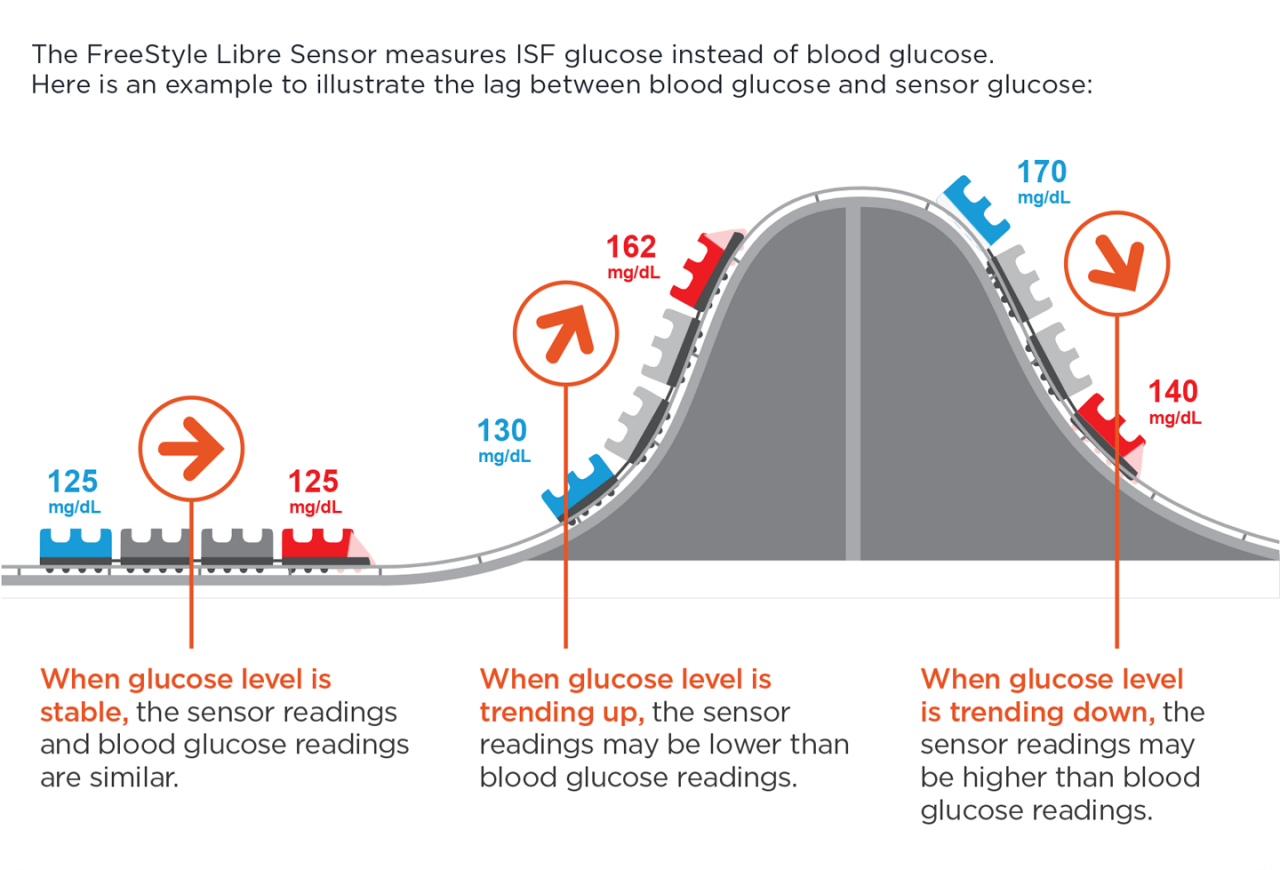 BGM vs FreeStyle Libre (CGM) | Abbott BGM vs FreeStyle Libre (CGM) | Abbott