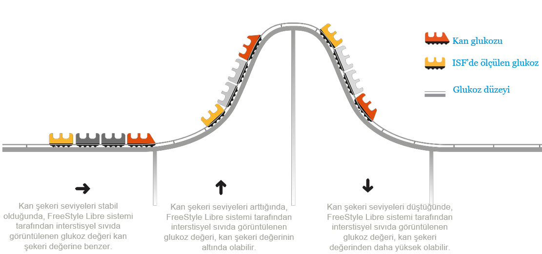 FreeStyle Libre Sistemi - FreeStyle Libre | Abbott